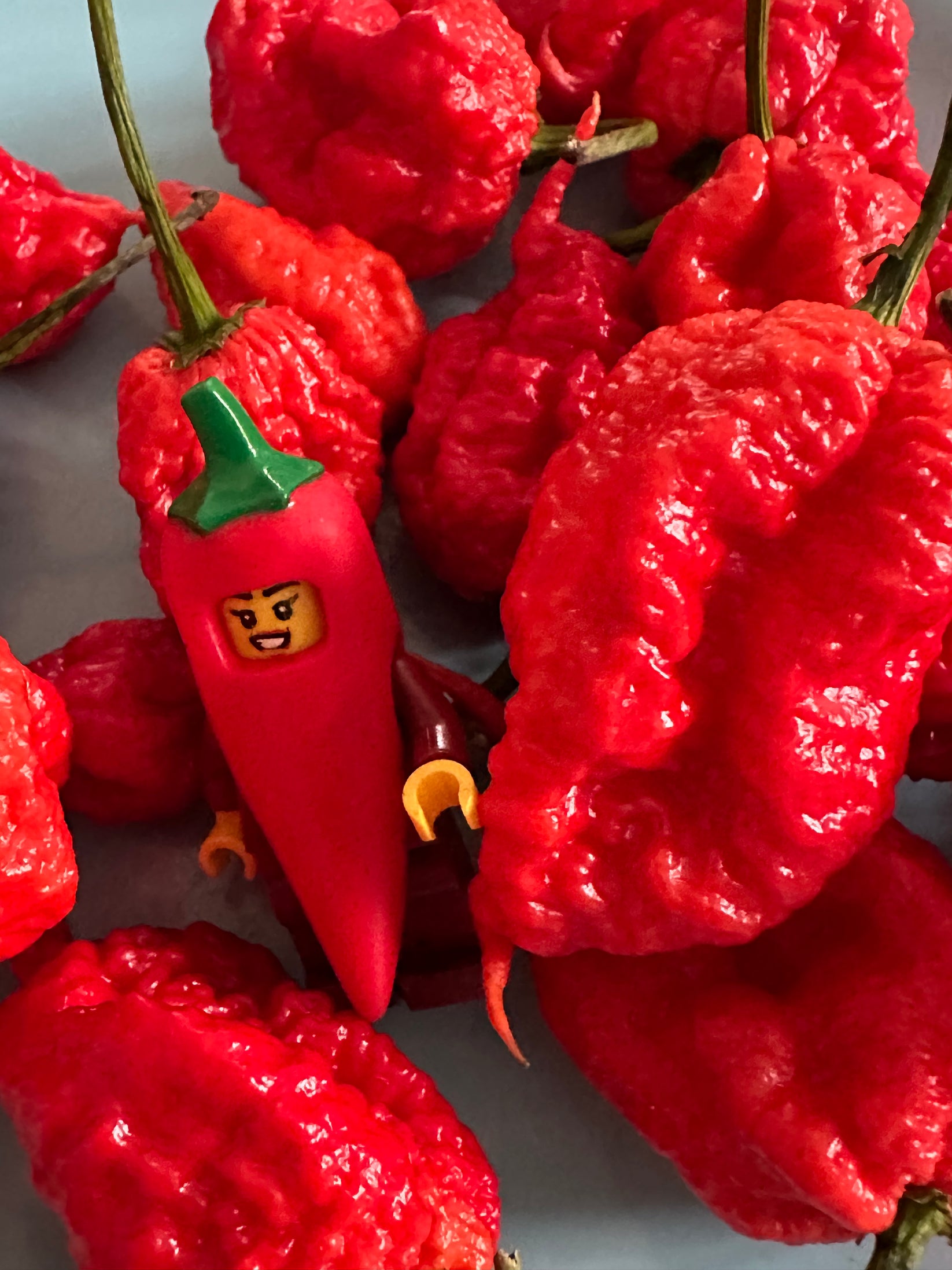 Super Hot Fresh Chillies | Wicked Hots