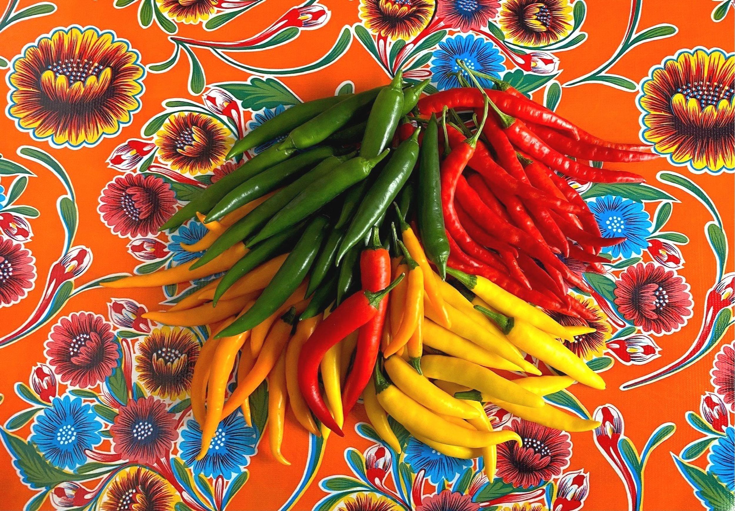 Wicked Hots | Fresh chillies from New Zealand