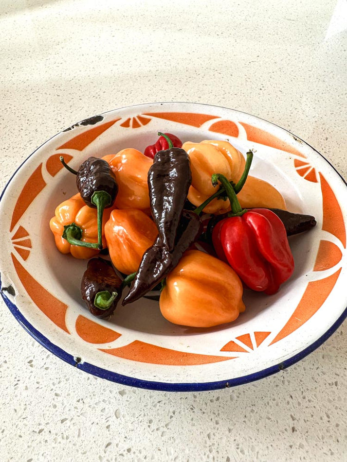 Super Hot Fresh Chillies | Wicked Hots