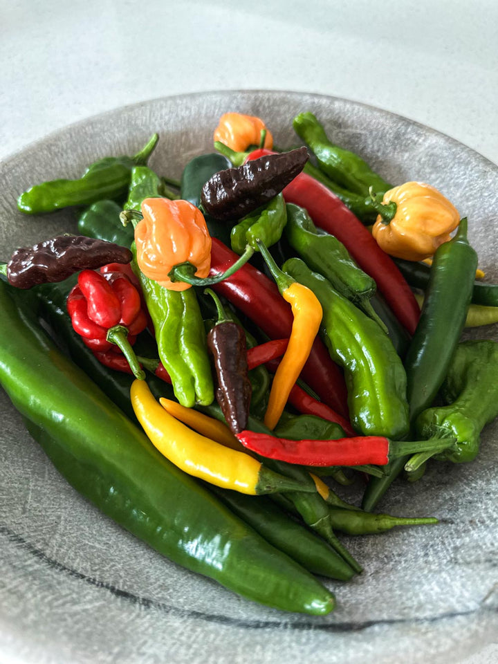 Shop Fresh Chillies | Wicked Hots