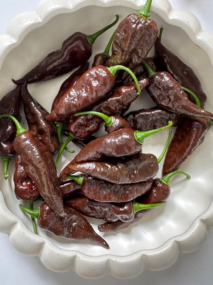 Shop Fresh Chillies | Wicked Hots